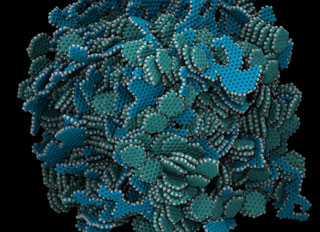 Team aims to improve plant-based battery with neutrons, simulation ...