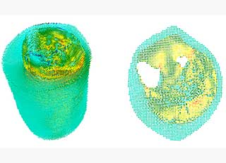 Mesh-free Numerical Simulation of Skeletal Muscle Tissue Completed ...