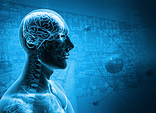 Researchers take Vital Step toward Creating Bionic Brain - Research ...