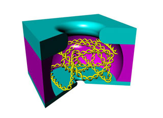 DNA “cage” could improve nanopore technology - Research & Development World