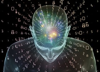 Numbers on the Mind: How Math Can Help Explain the Workings of Our ...