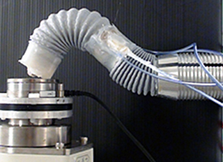 Octopus arm inspires future surgical tool - Research & Development World