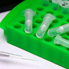 ChIP Assay Kit - Research & Development World