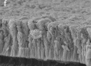 Researchers coat spinal polymer implants with bioactive film - Research ...