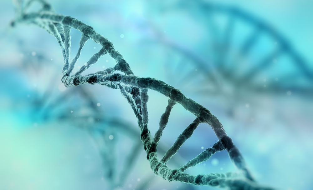 Supercomputers Capture The Crush in Biological Cells - Research ...
