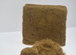 Can seaweed be used as a building material? - Research & Development World