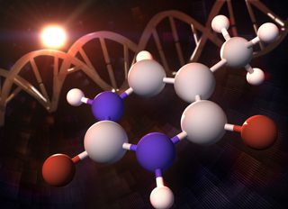 Scientists use x-rays to look at how DNA protects itself from UV light ...