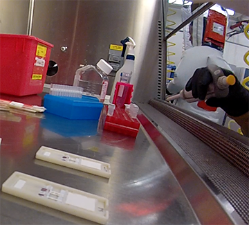 Paper Test for Ebola - Research & Development World