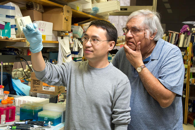 Promising One-Two Punch for Lung Cancer - Research & Development World