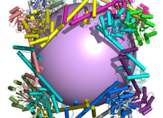 Biochemists build largest synthetic molecular “cage” ever - Research ...