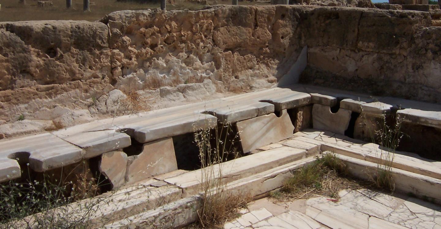 Despite Sanitation Tech, Parasites Spread During Roman Empire ...