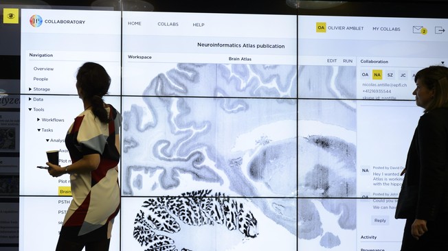 Human Brain Project's Research Platform Released - Research ...
