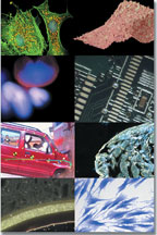 Image-Pro Plus - Research & Development World