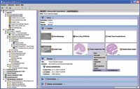 Collaborative Electronic Research Framework (CERF) - Research ...