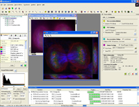 AutoQuant X 2 - Research & Development World