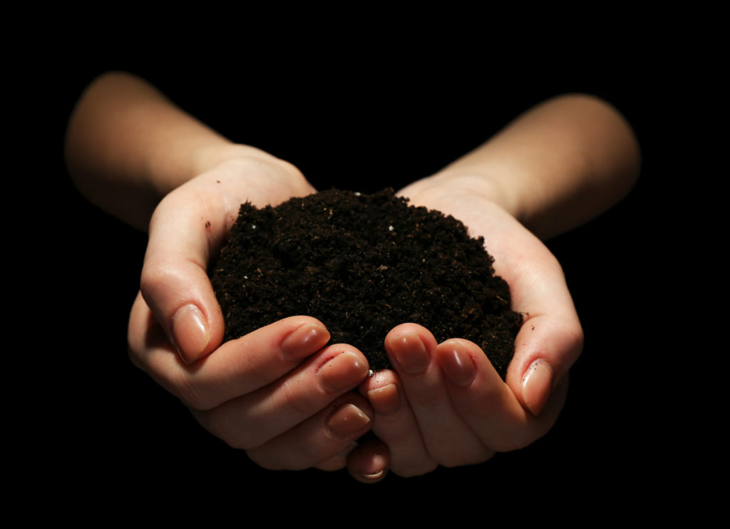 Graphene Oxide Diversifies Soil Bacteria - Research & Development World