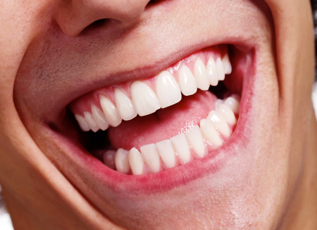 What Do Seashells and Teeth Have in Common? - Research & Development World