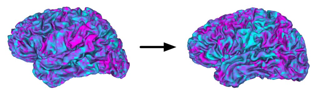 UT Austin–based AI-based brain decoder translates thoughts to text