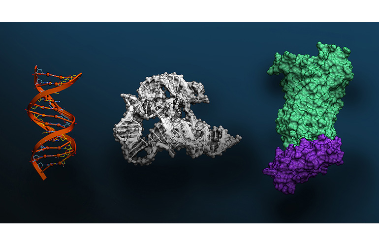 Evo 2 gen AI tool promises to accelerate synthetic biology research