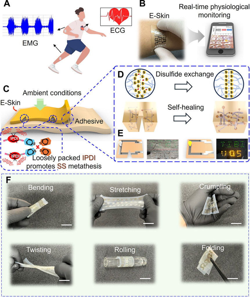 Electronic skin repairs itself in seconds after damage