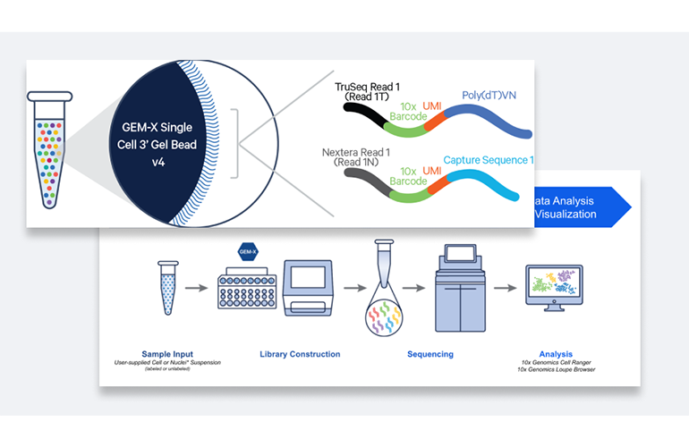 10x Genomics brings natural language to single-cell analysis through ...