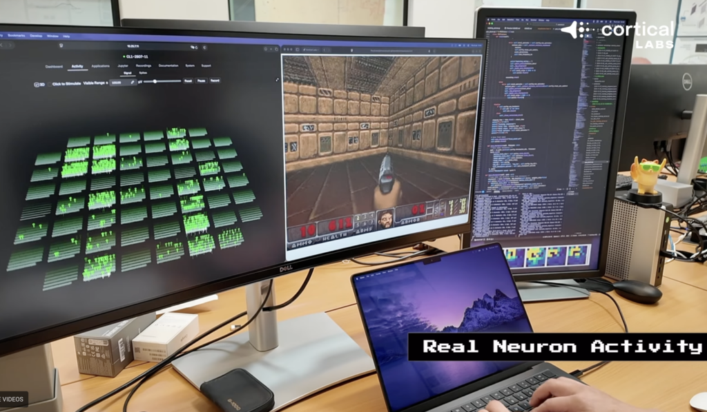 The neurons playing Doom are actually testing a theory of intelligence