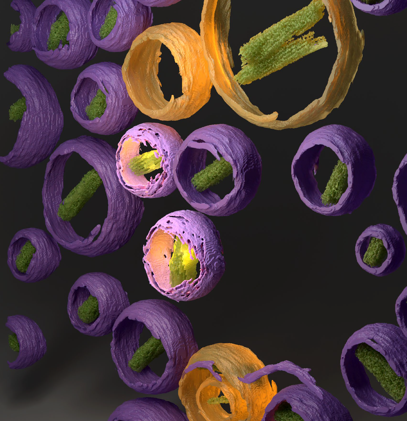 How Thermo Fisher’s Glacios 3 aims to broaden access to cryo-EM ...